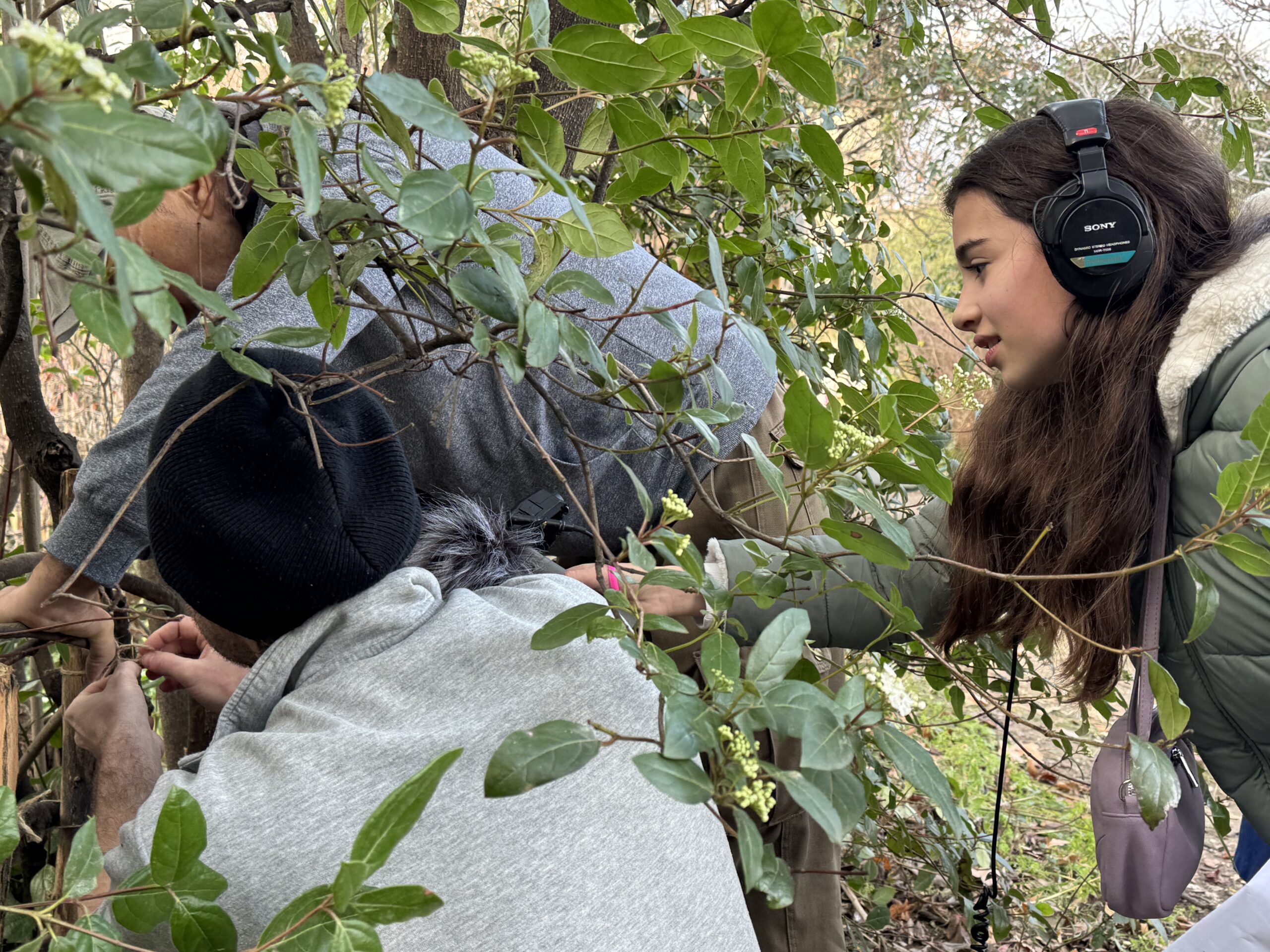 Le Jardin Levat : Un Écrin de Nature et de Partage au Cœur de Marseille ...